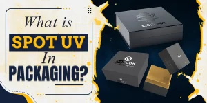 What Is E-Commerce Packaging? | Silver Edge Packaging